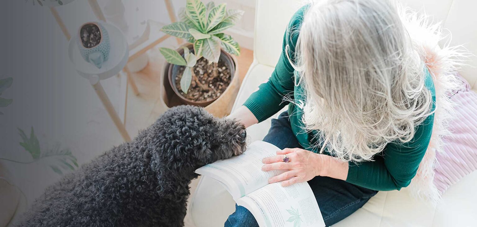 Welcome to Kind Lab – Kind Lab